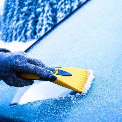 4 Pics 1 Word Animal Companions December 27 2025 Answers