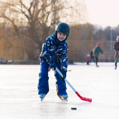 4 Pics 1 Word Animal Companions December 27 2025 Answers