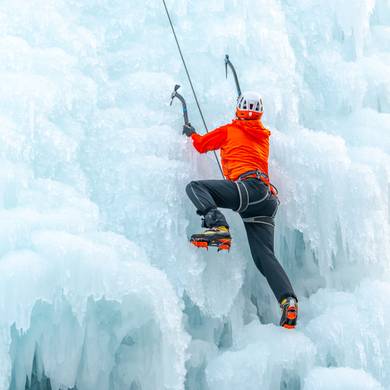 4 Pics 1 Word Animal Companions December 27 2025 Answers