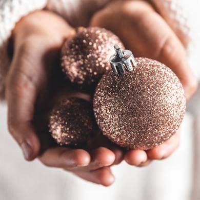 4 Pics 1 Word Animal Companions December 29 2025 Answers