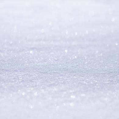 4 Pics 1 Word Animal Companions December 29 2025 Answers