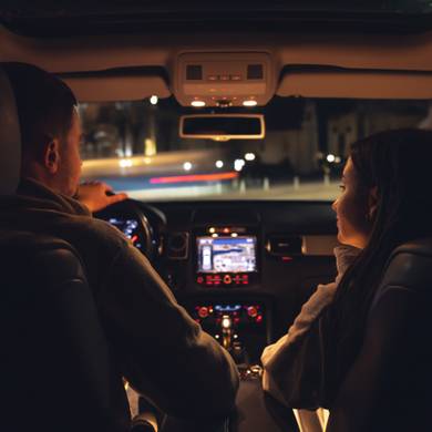 4 Pics 1 Word Bonus December 29 2025 Animal Companions Answers