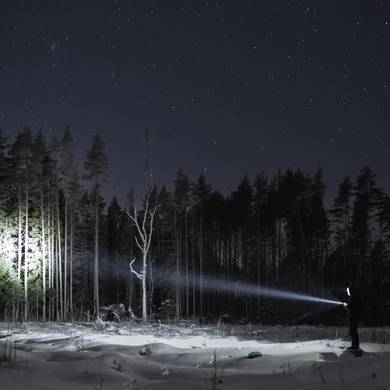 4 Pics 1 Word Bonus December 29 2025 Animal Companions Answers